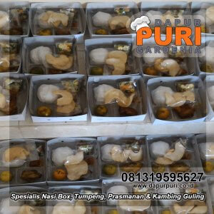 Rekomendasi Nasi Box Enak di Bekasi | 081319595627 Catering Bekasi | Jakarta